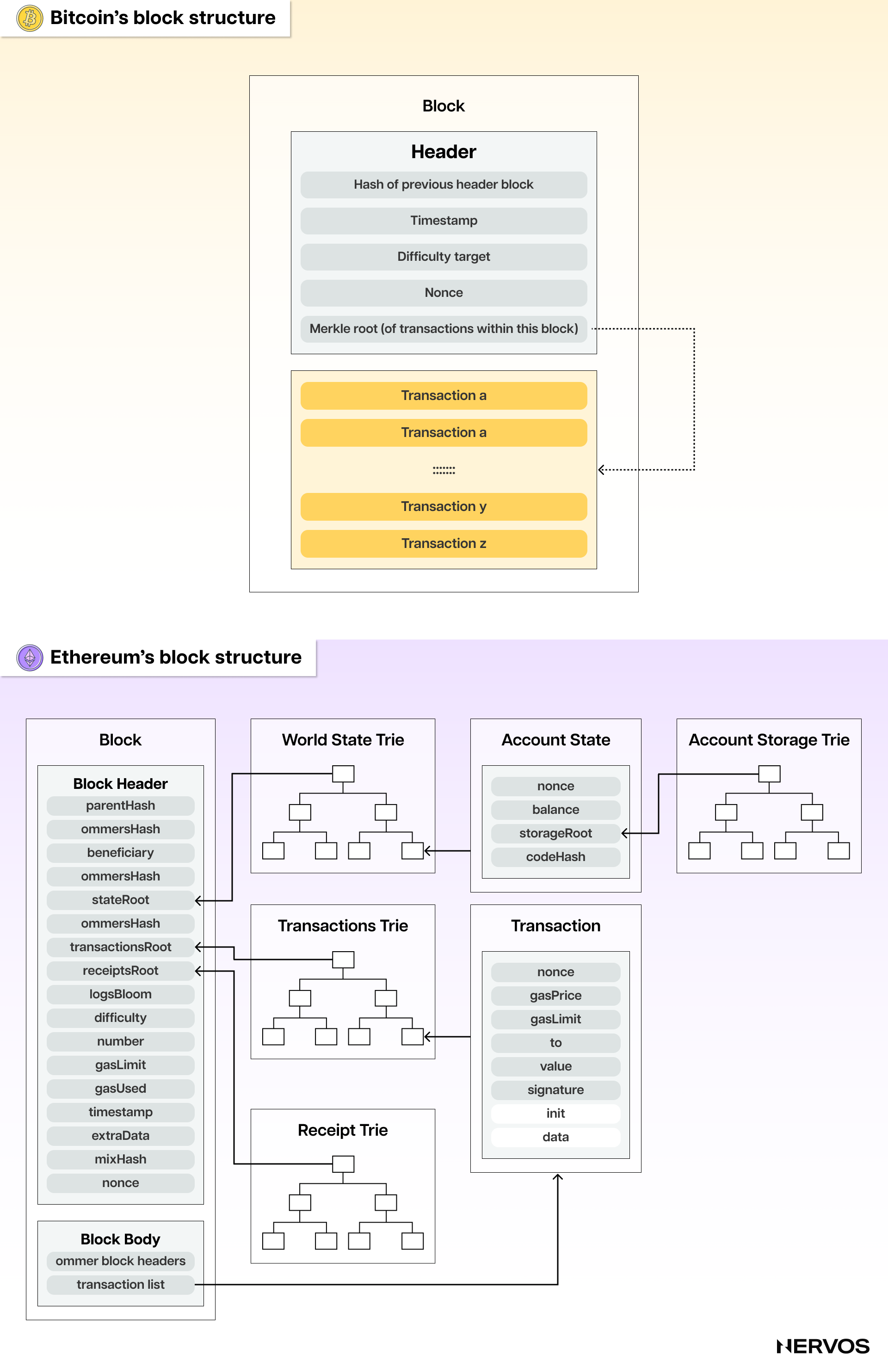 The Ultimate Guide to Blockchain Light Clients